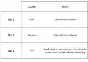 Tiers of Forest Carbon Data | Natural Forest Standard
