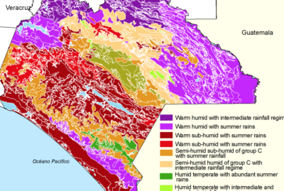 Natural Forest Standard | Natural Forest Standard
